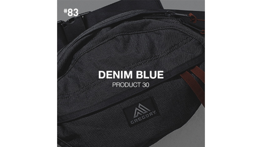 Cover all of Gregory products30・DENIM BLUE | news | HOUYHNHNM (Huynh Nam)